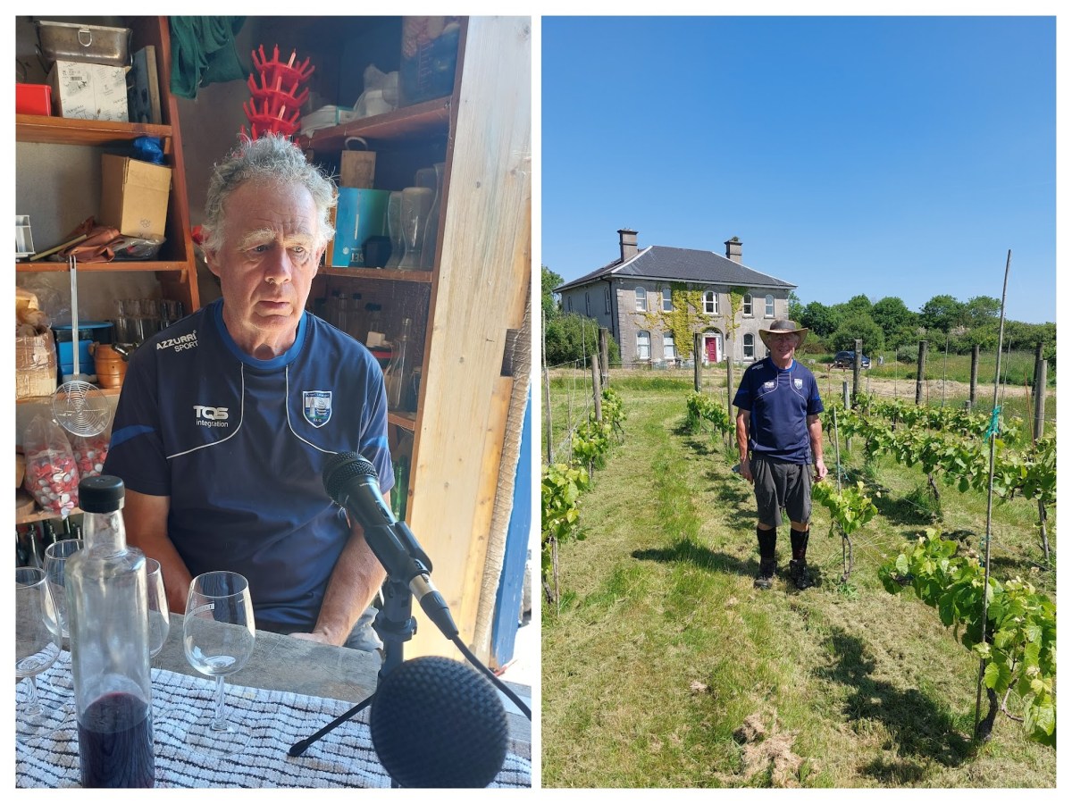 David Dennison: Viking Irish Wines in Waterford – Wine Ireland